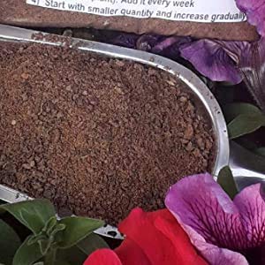 Horizen Bum Bum Bhole Organic Mustard Oil Cake Powder Fertilizer Manure for Plants Growth & Plant Nutrient (900 Gm)