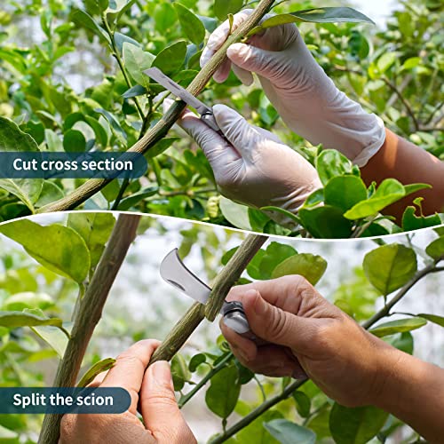 BaiCarre 102pcs Garden Tool Set,Grafting Knife is with 2-Blades Design (Curved and Straight) for Pruning,100 Pcs Plastic Plant Labels,2PCS Grafting Tape