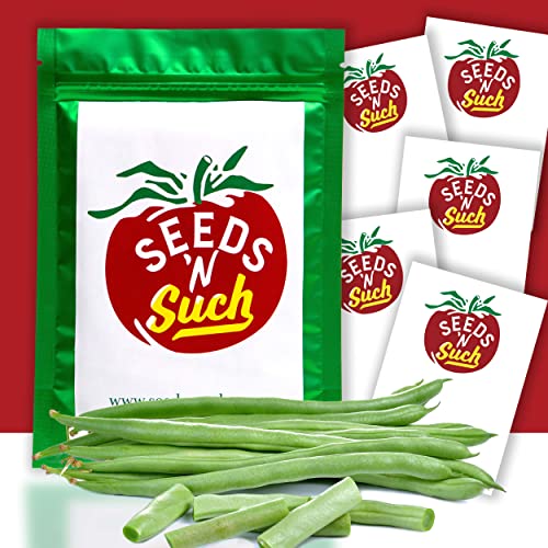 Seeds N Such 1310 Hand Selected Spring Vegetable Garden Seeds | Includes 5 Individually Packaged Seeds Tomatoes, Blue Beans, Cucumbers, Lettuce & Peppers | Untreated & Non-GMO