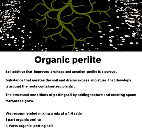 10 QT Professional Grade Horticultural Organic Perlite (10 QT, Perlite)