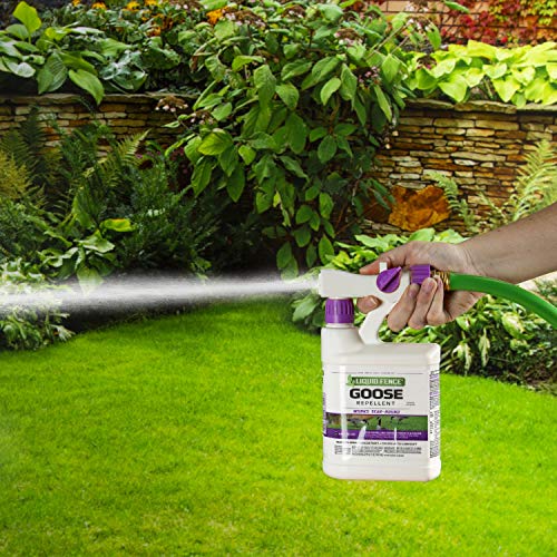 Liquid Fence Goose Repellent, 1-Quart Hose End Sprayer, Pack of 1, Brown