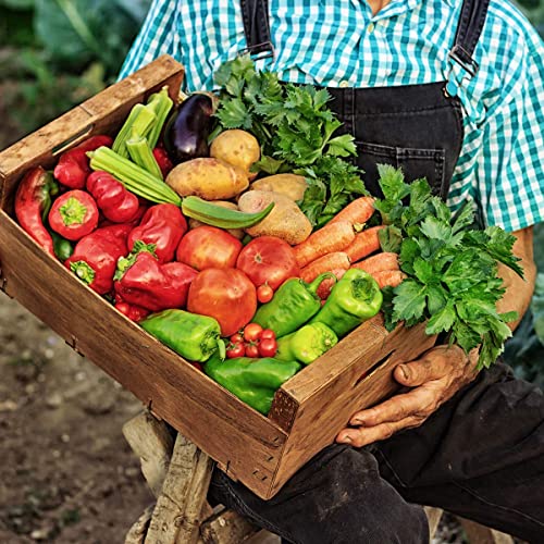 The Old Farmer's Almanac Organic Tomato & Vegetable Plant Food Fertilizer (Covers 1000 Sq Ft - 9 Lbs), (OFA-TV848-9LB)