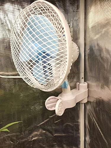 blessny 6 Inch Oscillating Grow Tent Clip on Fan for Pole Mount 0.6-1 inch, 8 Ft Long cord Small growing Monkey Fan Oscillation for Hydroponic, 20W 2-Speed Super quiet with Heavy duty Clamp