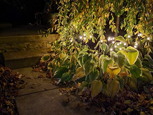 Solrise- 10 LED Solar Outdoor Lights, Outdoor Christmas Decoration Yard, 2 Pack Outdoor Solar Lights, Solar Christmas Decorations, Outdoor Lights, Garden Decor, Outdoor Lights for Patio