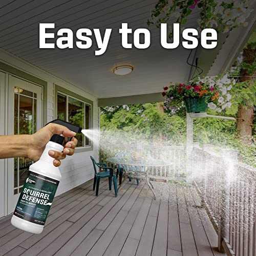 Exterminators Choice - Squirrel Defense Spray - 1 Gallon - Natural, Non-Toxic Squirrel Repellent - Quick and Easy Pest Control - Safe Around Kids and Pets - Deters But Doesn’t Harm