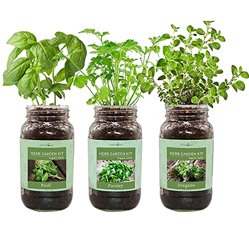Environet Herb Gift Set, Mason Jar Herb Garden Starter Kit Indoor, Includes 3 Mason Jar, 9 Coco Coir Planting Wafers and 3 Kinds of Heirloom Organic Seeds (Basil, Parsley, Oregano)