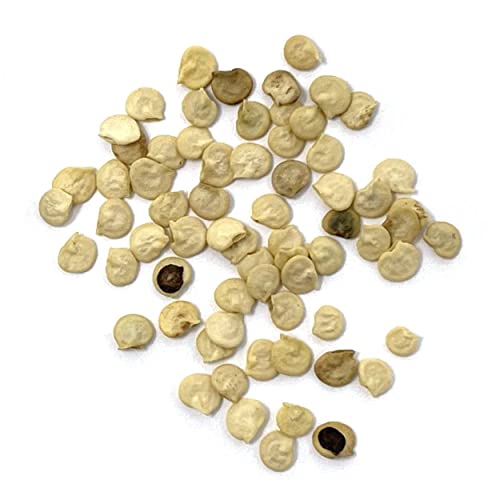 Purely Organic Products Purely Organic Heirloom Sweet Pepper Seeds (California Wonder) - Approx 35 Seeds