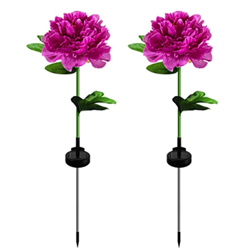 Aolyty Solar Flower Garden Lights, Single Head Solar Peony Light, Outdoor Decoration Solar Stake Lights, 2 Pack IP65 Waterproof LED Landscape Light for Pathway Walkway Patio Lawn Garden (Purple)