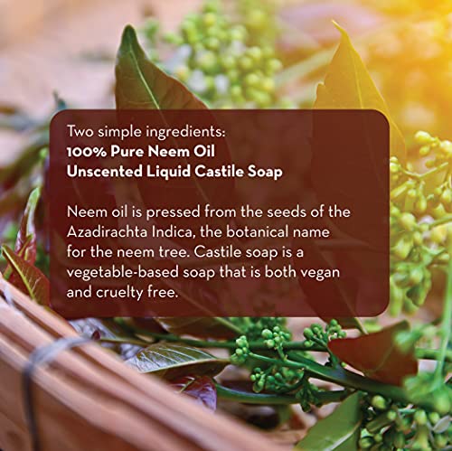 Emily's Naturals Neem Oil for Plants | Spray Kit Makes 48oz | for Outdoor Garden and Indoor House Plants | Safe and Biodegradable