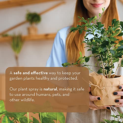 Emily's Naturals Neem Oil for Plants | Spray Kit Makes 48oz | for Outdoor Garden and Indoor House Plants | Safe and Biodegradable
