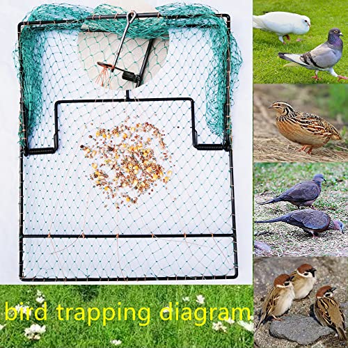 DSQSTMR Pigeon Bird Trap Trapping Hunting Quail Cage Sparrow Spring Starling Catching Net Traps for Trapping