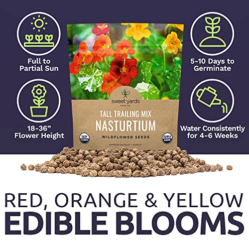 Sweet Yards Seed Co. Nasturtium Seeds β Mixed Colors β Extra Large Packet β Over 200 Open Pollinated Non-GMO Flower Seeds β Tropaeolum majus