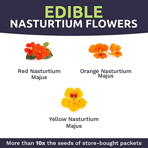 Sweet Yards Seed Co. Nasturtium Seeds β Mixed Colors β Extra Large Packet β Over 200 Open Pollinated Non-GMO Flower Seeds β Tropaeolum majus