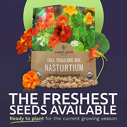 Sweet Yards Seed Co. Nasturtium Seeds β Mixed Colors β Extra Large Packet β Over 200 Open Pollinated Non-GMO Flower Seeds β Tropaeolum majus