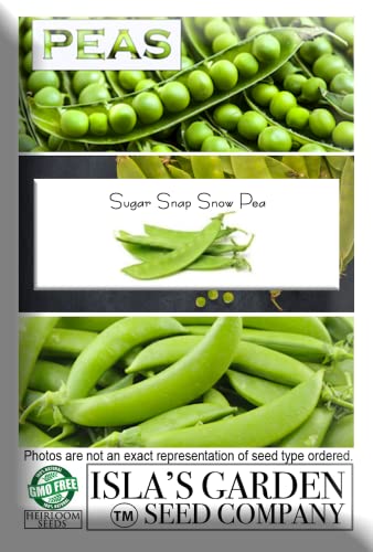 Sugar Snap Snow Pea Seeds for Planting, 50+ Heirloom Seeds Per Packet, (Isla's Garden Seeds), Non GMO Seeds, Botanical Name: Pisum sativum 'Macrocarpon Group', Great Home Garden Gift
