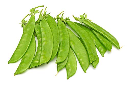 Sugar Snap Snow Pea Seeds for Planting, 50+ Heirloom Seeds Per Packet, (Isla's Garden Seeds), Non GMO Seeds, Botanical Name: Pisum sativum 'Macrocarpon Group', Great Home Garden Gift