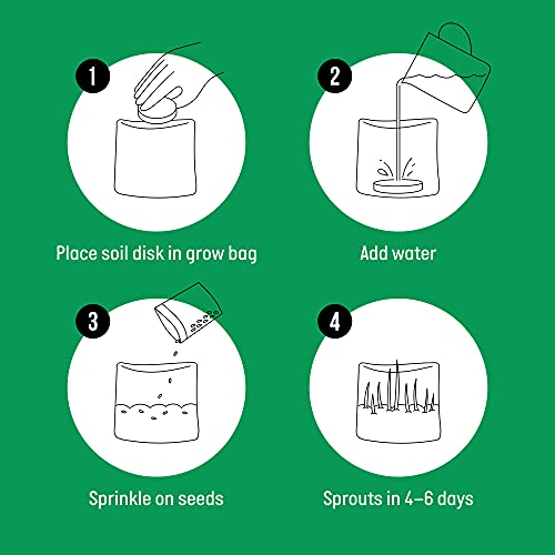 The Cat Ladies Cat Grass Grow Bag Kit, Organic Cat Grass for Indoor Cats, Seeds, 3 Pack Soil, Seeds & Grow Bags