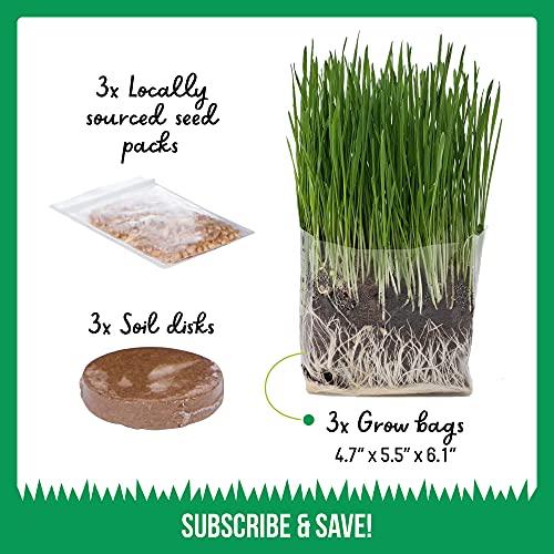 The Cat Ladies Cat Grass Grow Bag Kit, Organic Cat Grass for Indoor Cats, Seeds, 3 Pack Soil, Seeds & Grow Bags
