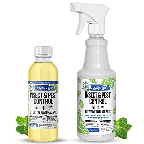 Mighty Mint Peppermint Oil Insect & Pest Control Spray with Concentrate - Makes 1 Gallon