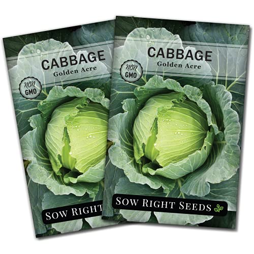 Sow Right Seeds - Golden Acre Cabbage Seed for Planting - Non-GMO Heirloom Packet with Instructions to Plant an Outdoor Home Vegetable Garden - Great Gardening Gift (2)