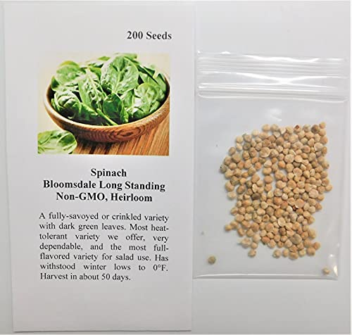 David's Garden Seeds Spinach Bloomsdale Long Standing FBA-6711 (Green) 200 Non-GMO, Heirloom Seeds