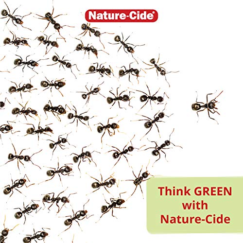 Nature-Cide All Purpose Insecticide. All Natural Roach Killer, Spider, Mosquito and Ant Spray to Keep Your Home Safe. Kills on Contact. No Strong Odor. 32 oz