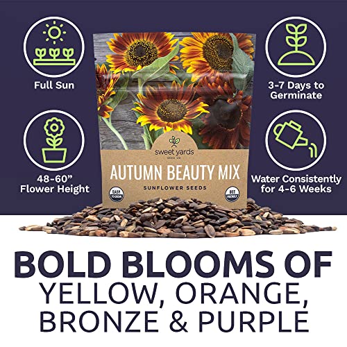 Sweet Yards Seed Co. Autumn Beauty Sunflower Seeds β Extra Large Packet β Over 1,400 Open Pollinated Non-GMO Wildflower Seeds β Helianthus annus β Beautiful Shades of Gold, Bronze, Yellow, and Purple