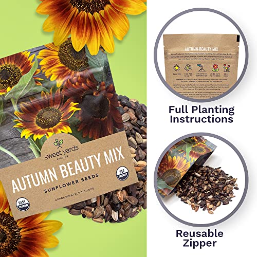Sweet Yards Seed Co. Autumn Beauty Sunflower Seeds β Extra Large Packet β Over 1,400 Open Pollinated Non-GMO Wildflower Seeds β Helianthus annus β Beautiful Shades of Gold, Bronze, Yellow, and Purple