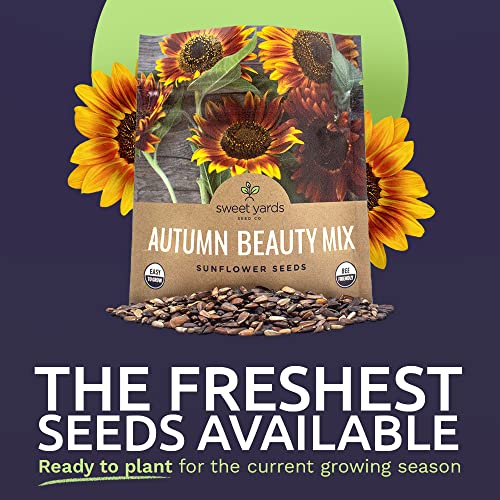Sweet Yards Seed Co. Autumn Beauty Sunflower Seeds β Extra Large Packet β Over 1,400 Open Pollinated Non-GMO Wildflower Seeds β Helianthus annus β Beautiful Shades of Gold, Bronze, Yellow, and Purple