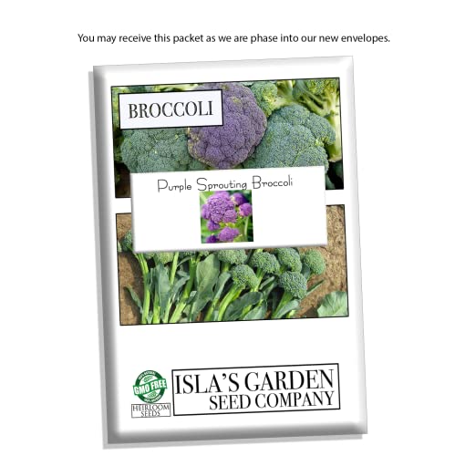 Purple Sprouting Broccoli Seeds, 500+ Heirloom Seeds Per Packet, (Isla's Garden Seeds), Non GMO Seeds, Botanical Name: Brassica oleracea, 85% Germination Rates