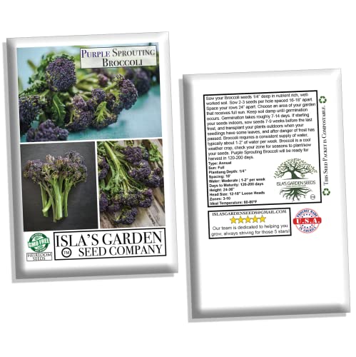 Purple Sprouting Broccoli Seeds, 500+ Heirloom Seeds Per Packet, (Isla's Garden Seeds), Non GMO Seeds, Botanical Name: Brassica oleracea, 85% Germination Rates