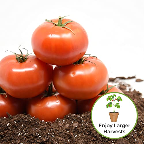 Perfect Plants Tomato Plant Fertilizer in 8oz. Bottle | Help Your Vegetable Garden Thrive | Rich in Essential nutrients