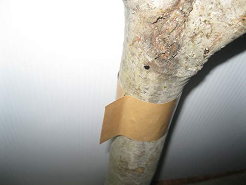 Gypsy Moth/Tent & Oakworm Caterpillar Tree Band Barrier Tape Protection