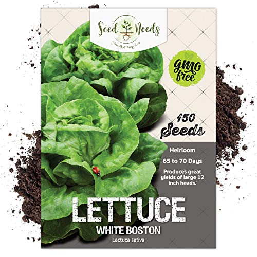 Seed Needs, Butterhead Lettuce Lovers Seed Packet Collection (5 Varieties of Heirloom Lettuce Seeds for Planting) Non-GMO & Untreated - Great for Hydroponics