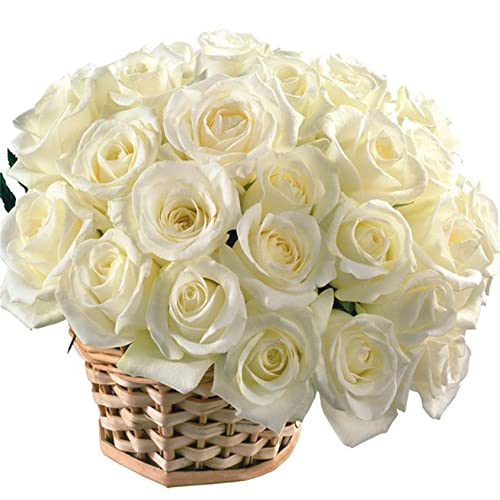 zcbang 100+ Seeds White Rose Bonsai Flower Balcony Plant for Home Garden