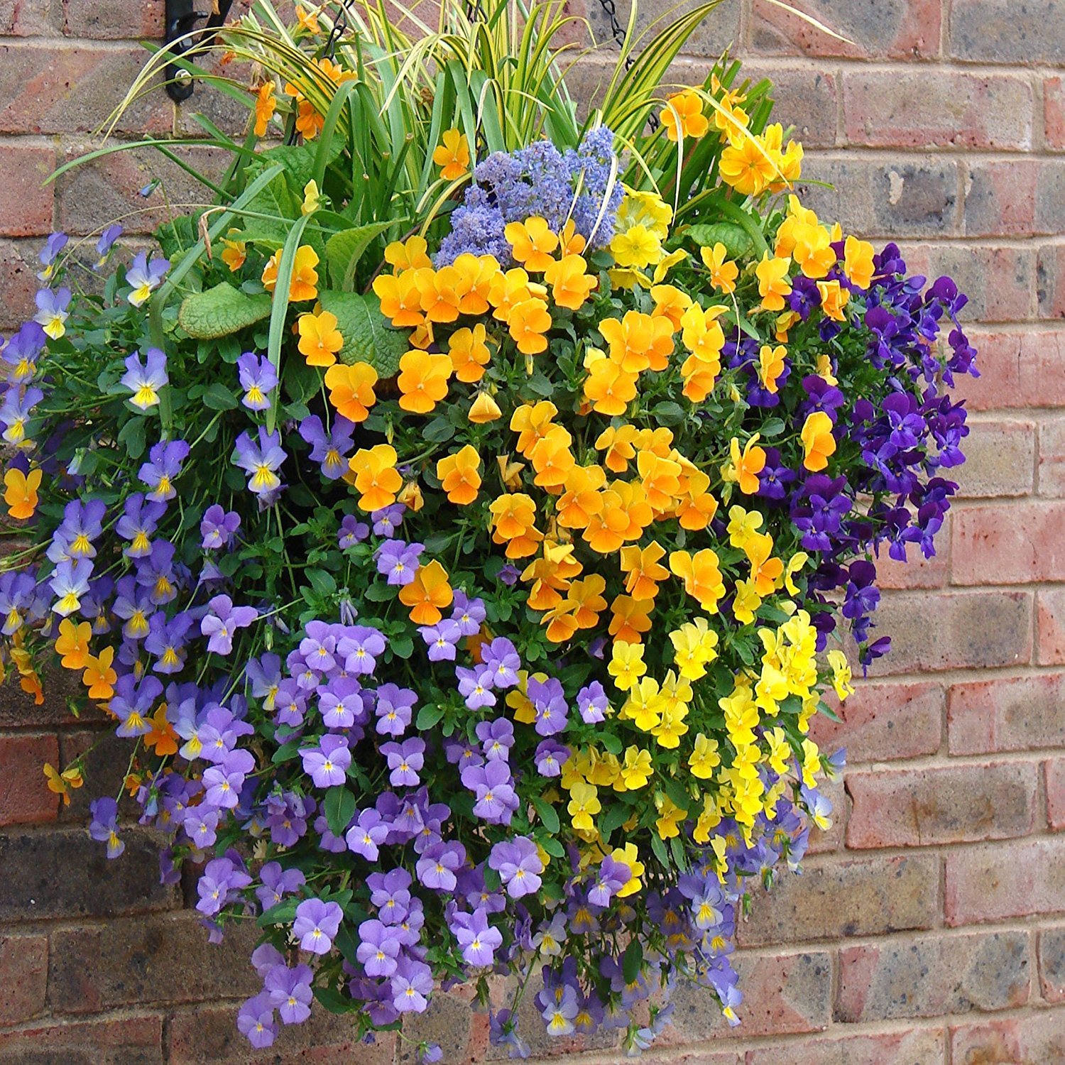 Ultimate Hanging Baskets - Strawberry, Tomato, Flower, and Herb Outdoor Planters - Use Garden Pots For Growing Plants Outside On A Deck, Fence, or Balcony (2, Mocha)