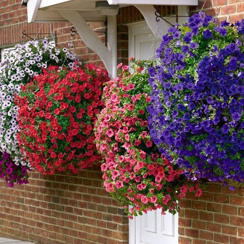 Ultimate Hanging Baskets - Strawberry, Tomato, Flower, and Herb Outdoor Planters - Use Garden Pots For Growing Plants Outside On A Deck, Fence, or Balcony (2, Mocha)