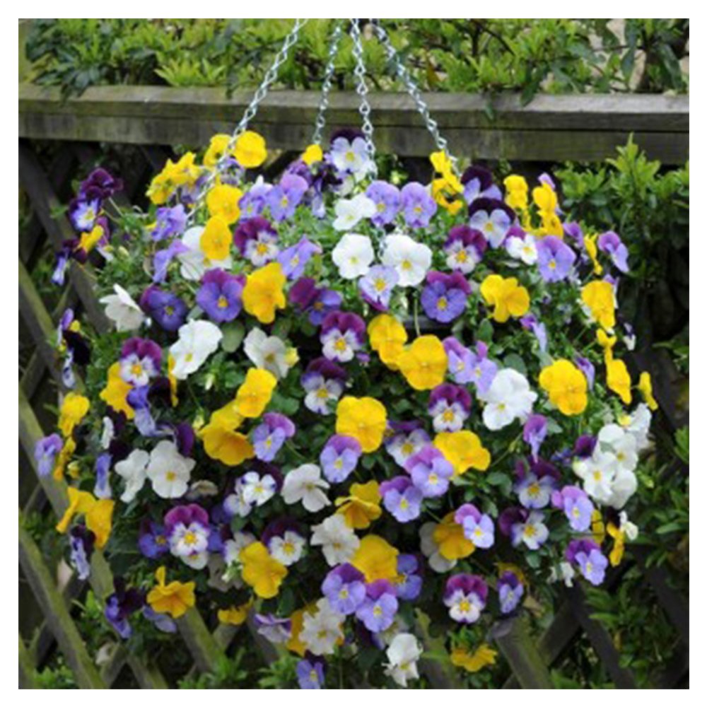 Ultimate Hanging Baskets - Strawberry, Tomato, Flower, and Herb Outdoor Planters - Use Garden Pots For Growing Plants Outside On A Deck, Fence, or Balcony (2, Mocha)