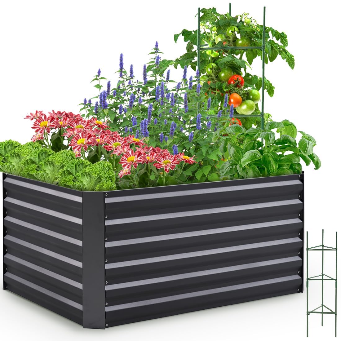 Quictent Galvanized Raised Garden Bed 8x4x1 Ft w/ 4 Tomato Cages Metal Planter Box Kit Planting Vegetables Fruits Herbs Flowers Bottomless Backyard Patio Weed Barrier Included Upgraded Wing Nuts