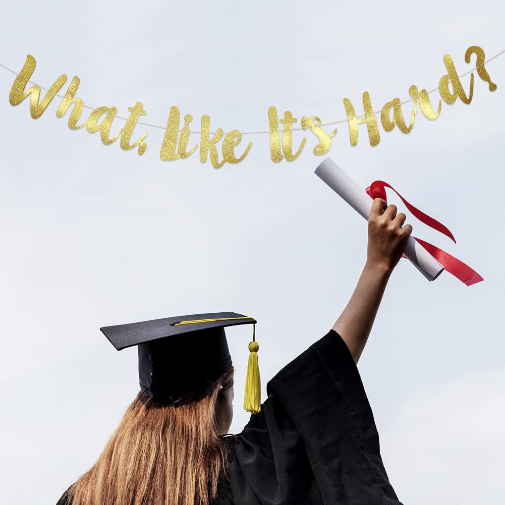 what like it's hard?banner,law school graduation banner, law school acceptance, entrance decorations, funny graduation decorations, party banner