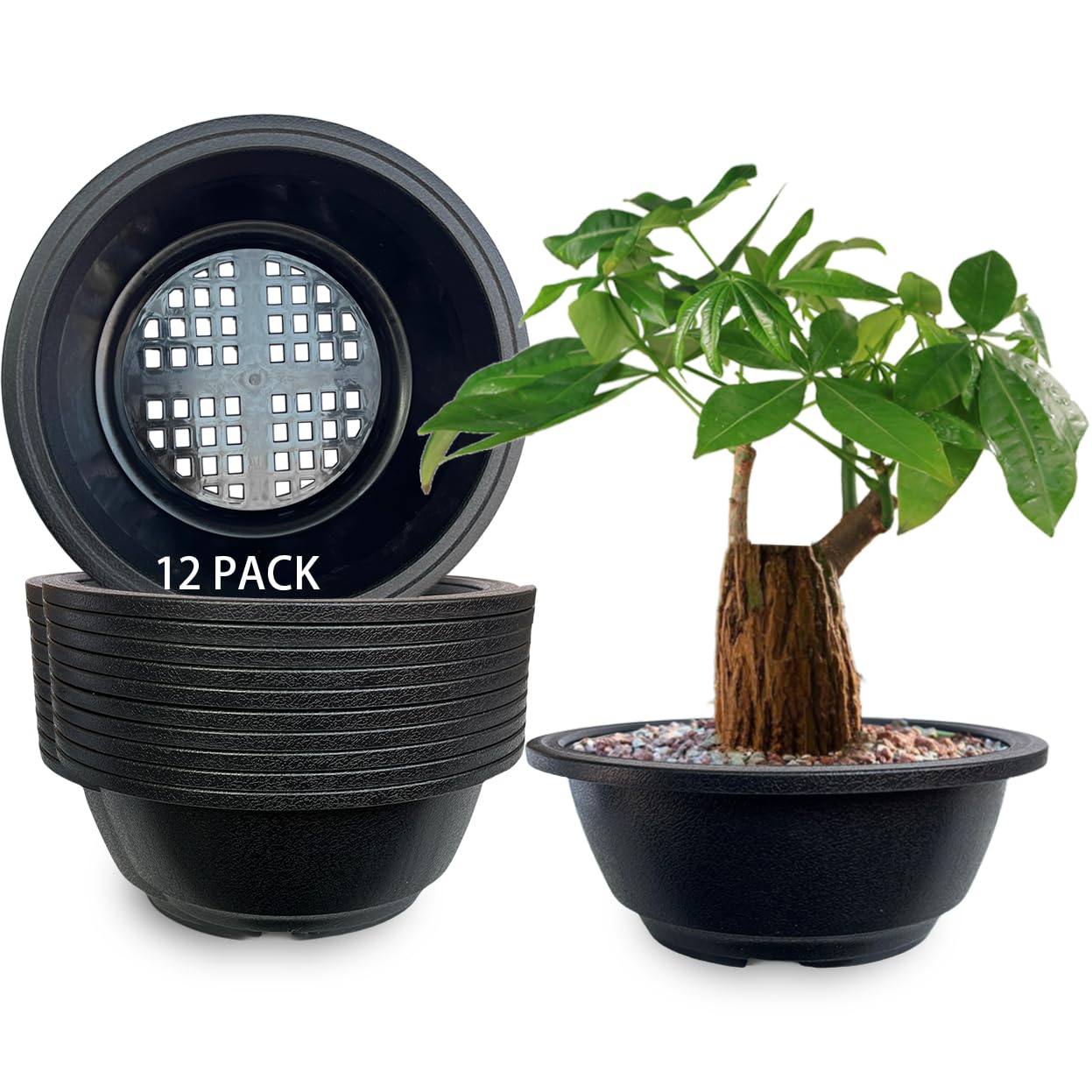 MUZHI 12 Pack Matte Finish Black Round Bonsai Bowl Planter Pot with Drainage, Plastic Garden Low Planter Pots 7.8"