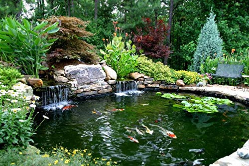 dashengdianzi Pond Liner, 6' x 10' Preformed Pond Liner Pond Skins for Fish Ponds, Waterfall, Streams Fountains and Water Gardens