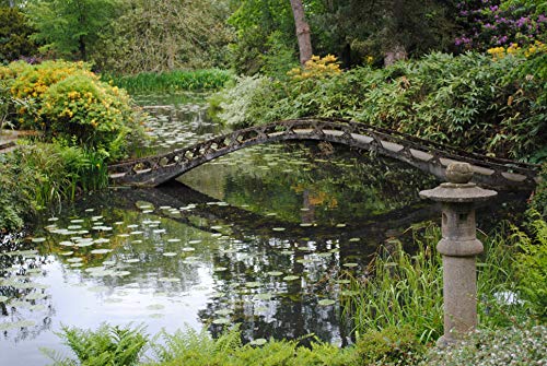dashengdianzi Pond Liner, 6' x 10' Preformed Pond Liner Pond Skins for Fish Ponds, Waterfall, Streams Fountains and Water Gardens