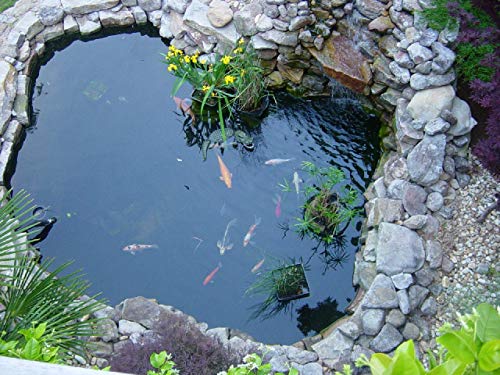 dashengdianzi Pond Liner, 6' x 10' Preformed Pond Liner Pond Skins for Fish Ponds, Waterfall, Streams Fountains and Water Gardens