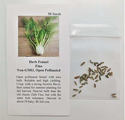 David's Garden Seeds Fennel Fino FBA-00058 (Green) 50 Non-GMO, Heirloom Seeds