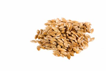 Raw Garden Canary Seed (Alpiste) (200 Capsules)