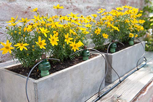 Blumat Drip System - 12 Pack Medium Deluxe Kit with Reservoir - Smart Automatic Watering System, Great for Vacation, Made in Austria