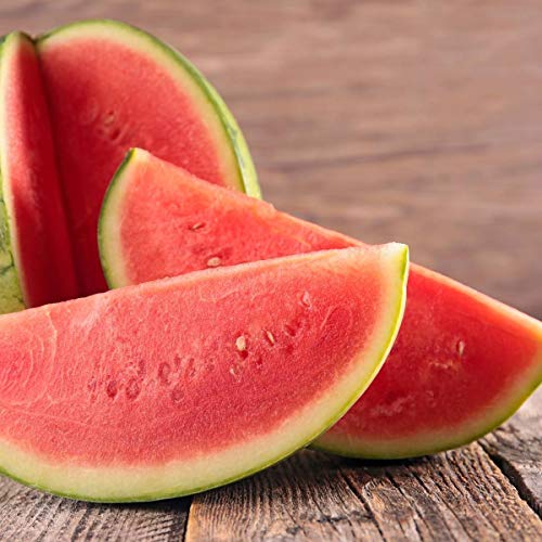 Charleston Grey Watermelon Seeds for Planting, 30+ Heirloom Seeds Per Packet, (Isla's Garden Seeds), Non GMO Seeds, Botanical Name: Citrullus lanatus, Great Home Garden Gift
