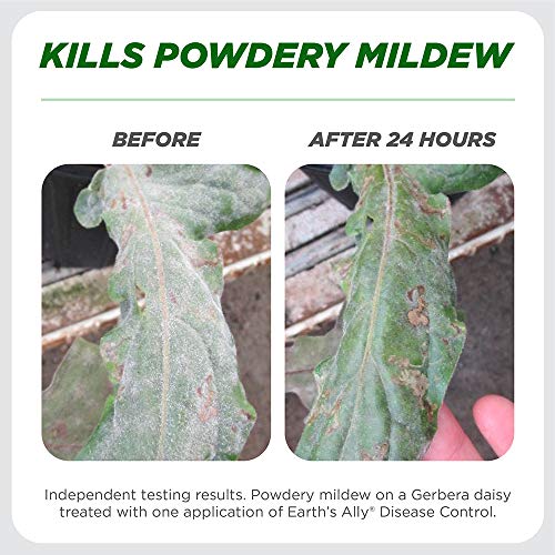 Earth's Ally Disease Control Concentrate for Plants | Fungicide Treatment for Powdery Mildew, Blight, Black Spot, Fungus - Use on Plant & Rose Diseases & More, 32oz Concentrate