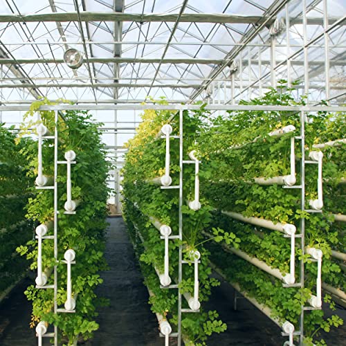 Natural Hydroponics 216Grow Nutrient Concentrate for Structural & Foliar Growth (1-Pint - Part of The Professional Nutrient System)